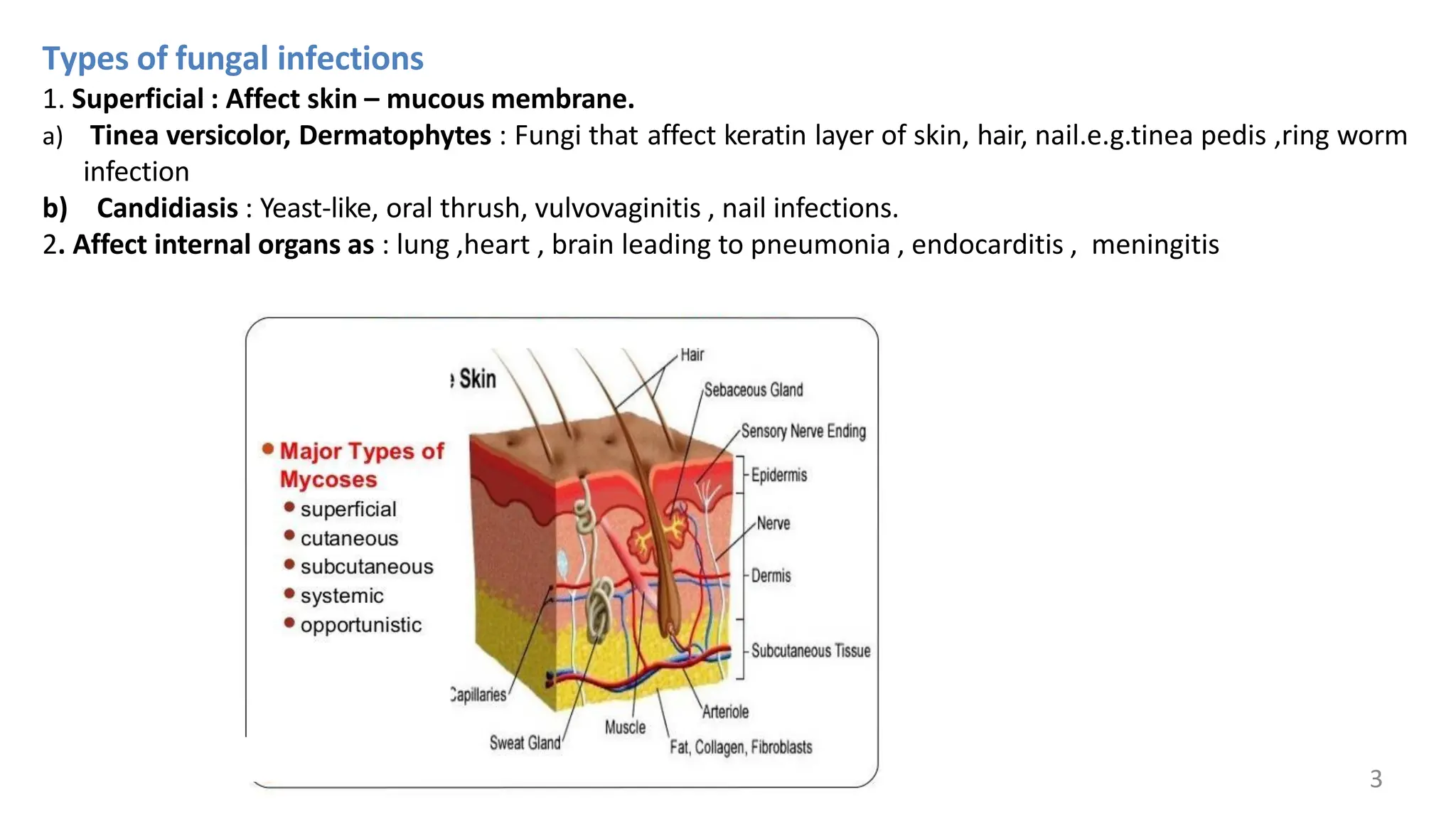 Antifungal agents-Medicinal Chemistry | PDF