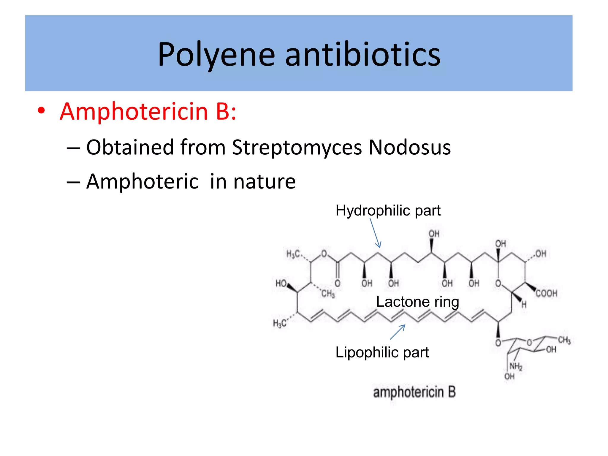 Antifungal drugs | PPTX