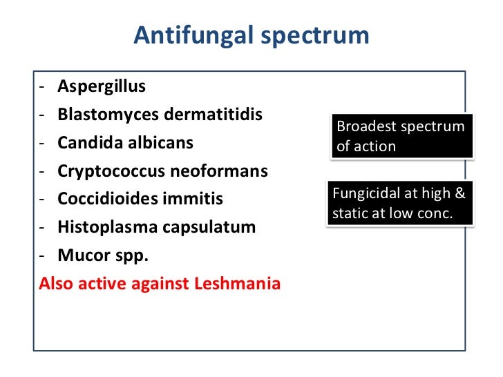 Antifungal drugs