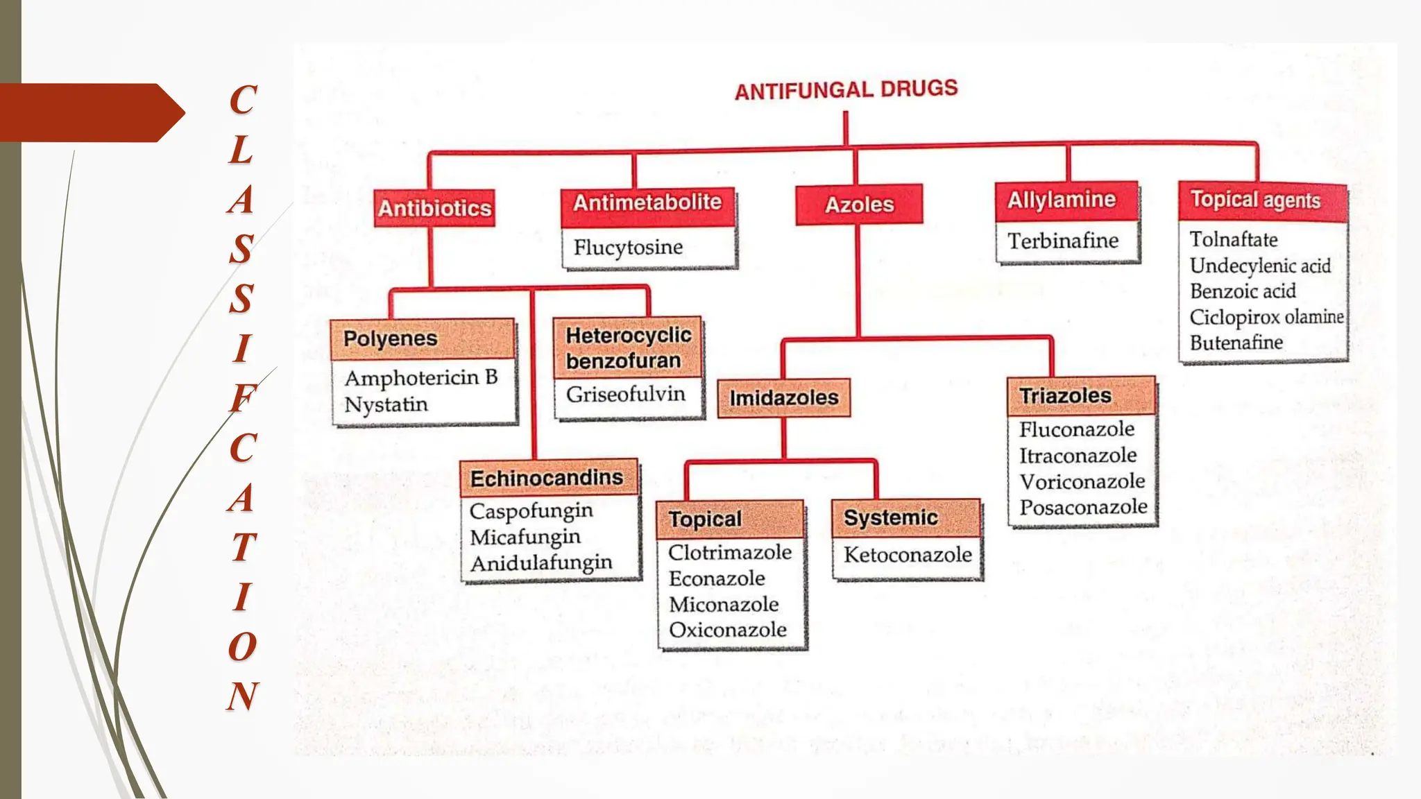 ANTIFUNGAL AND ANTI-TUBERCULOSIS DRUGS WITH CLASSIFICATION | PPTX