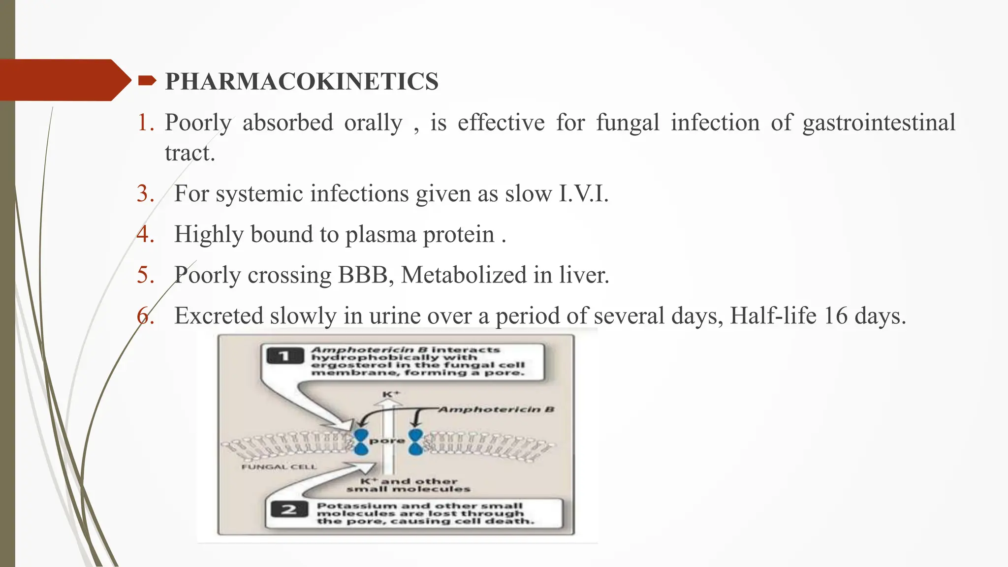 ANTIFUNGAL AND ANTI-TUBERCULOSIS DRUGS WITH CLASSIFICATION | PPTX