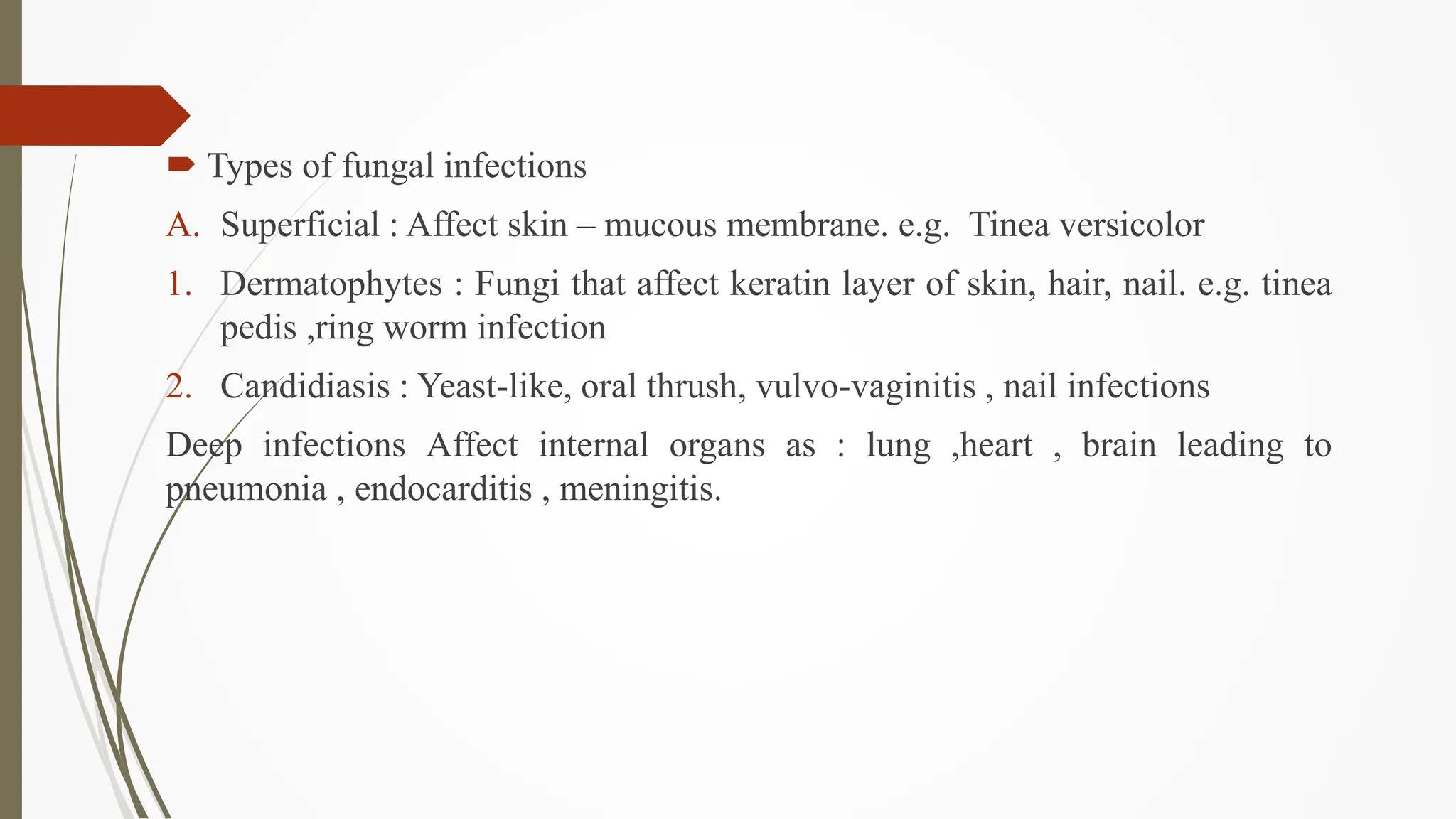 ANTIFUNGAL AND ANTI-TUBERCULOSIS DRUGS WITH CLASSIFICATION | PPTX