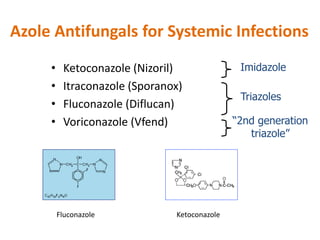 Antifungal chemotherapy | PPTX