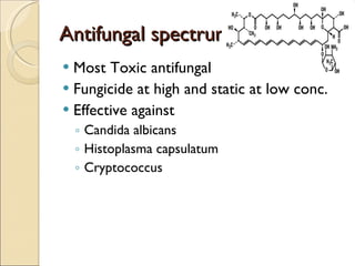 Antifungaldrugs | PPT