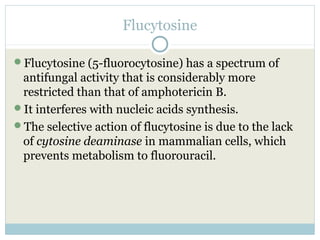 Antifungal drugs | PPT