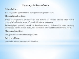 Anti fungal drugs | PPTX | Skin and Dermatology | Diseases and Conditions