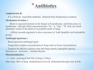 Anti fungal drugs | PPTX | Skin and Dermatology | Diseases and Conditions