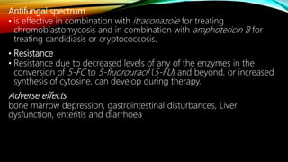 Antifungal drugs | PPT