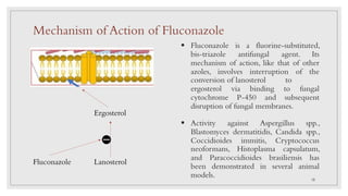 Anti-fungal Agents | PPT