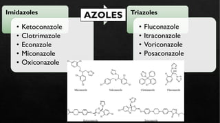 Antifungal drugs | PDF