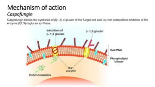 Pharmacology of Anti - fungal Drugs .pptx
