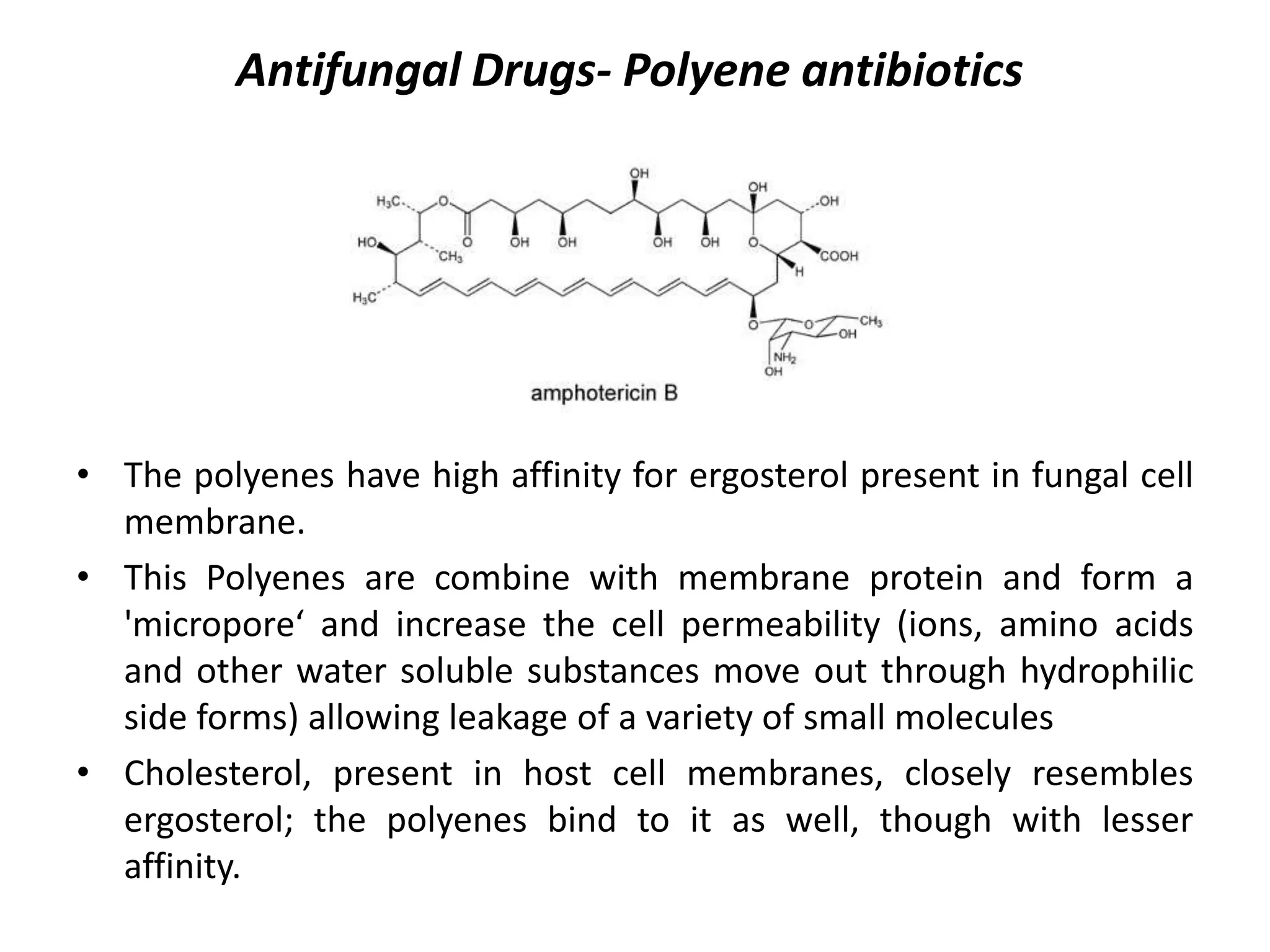 Antifungal drugs-Antibiotics | PPTX