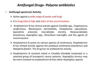 Antifungal drugs-Antibiotics | PPTX