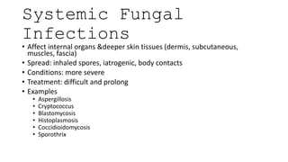 ANTIFUNGAL DRUGS 1.pptx