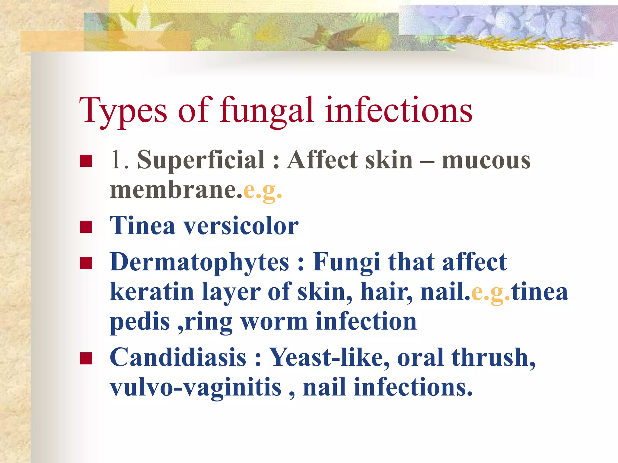 Antifungal Drugs 3.ppt