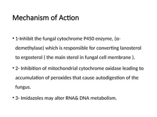 ANTIFUNGAL DRUGS used in the treatment of systemic fungal infections | PPTX