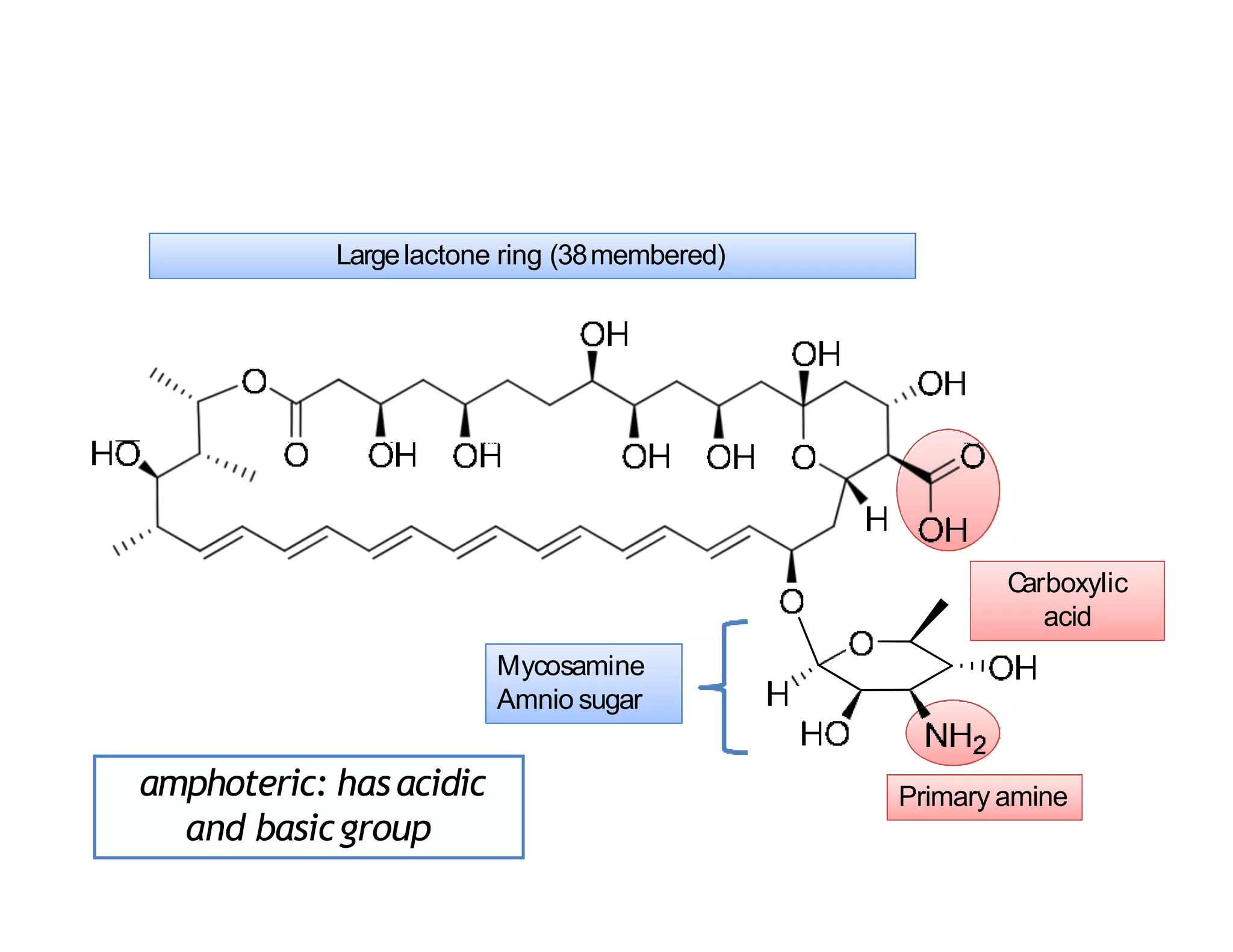 ANTIFUNGAL GROUP 1.pptx