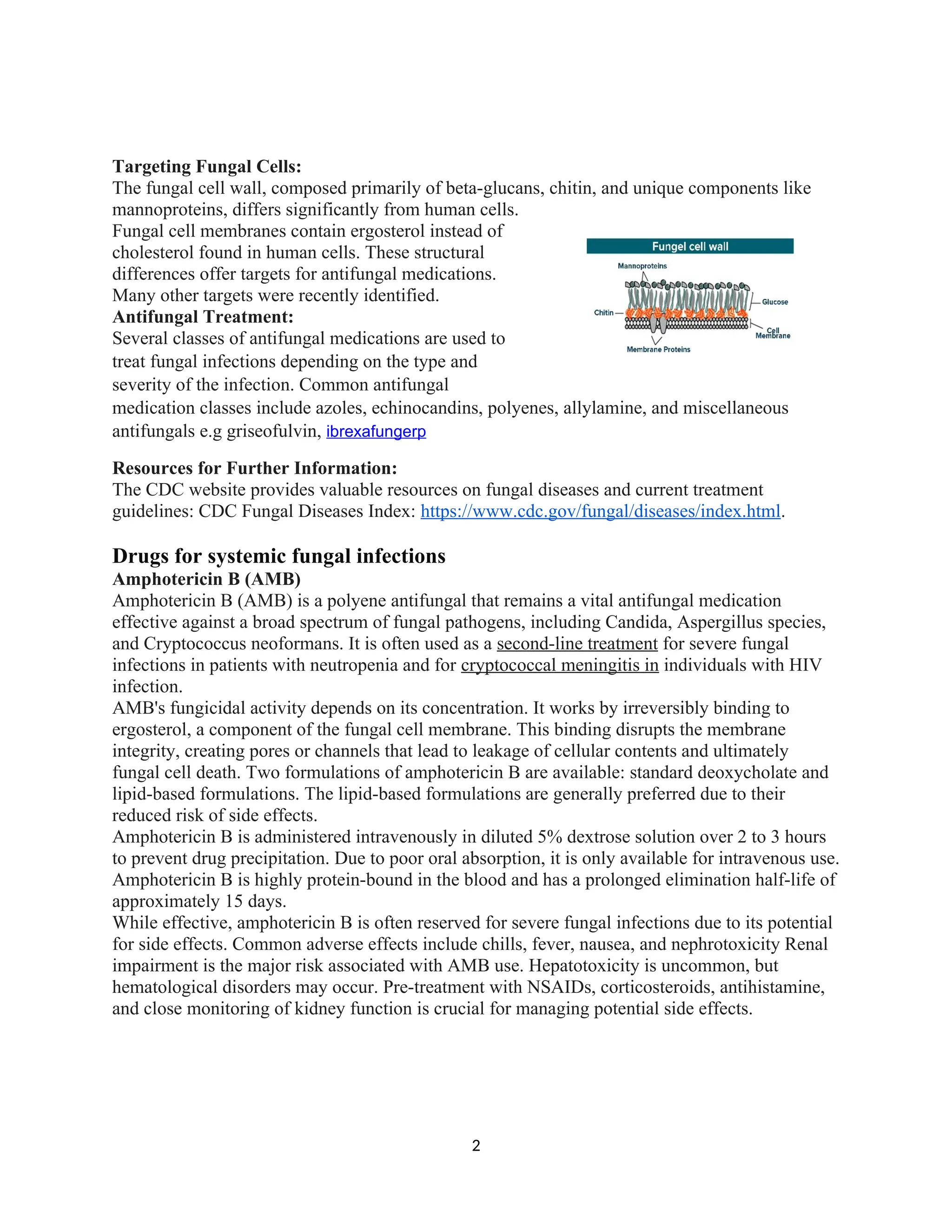 antifungal pharmacology drugs for education | DOCX