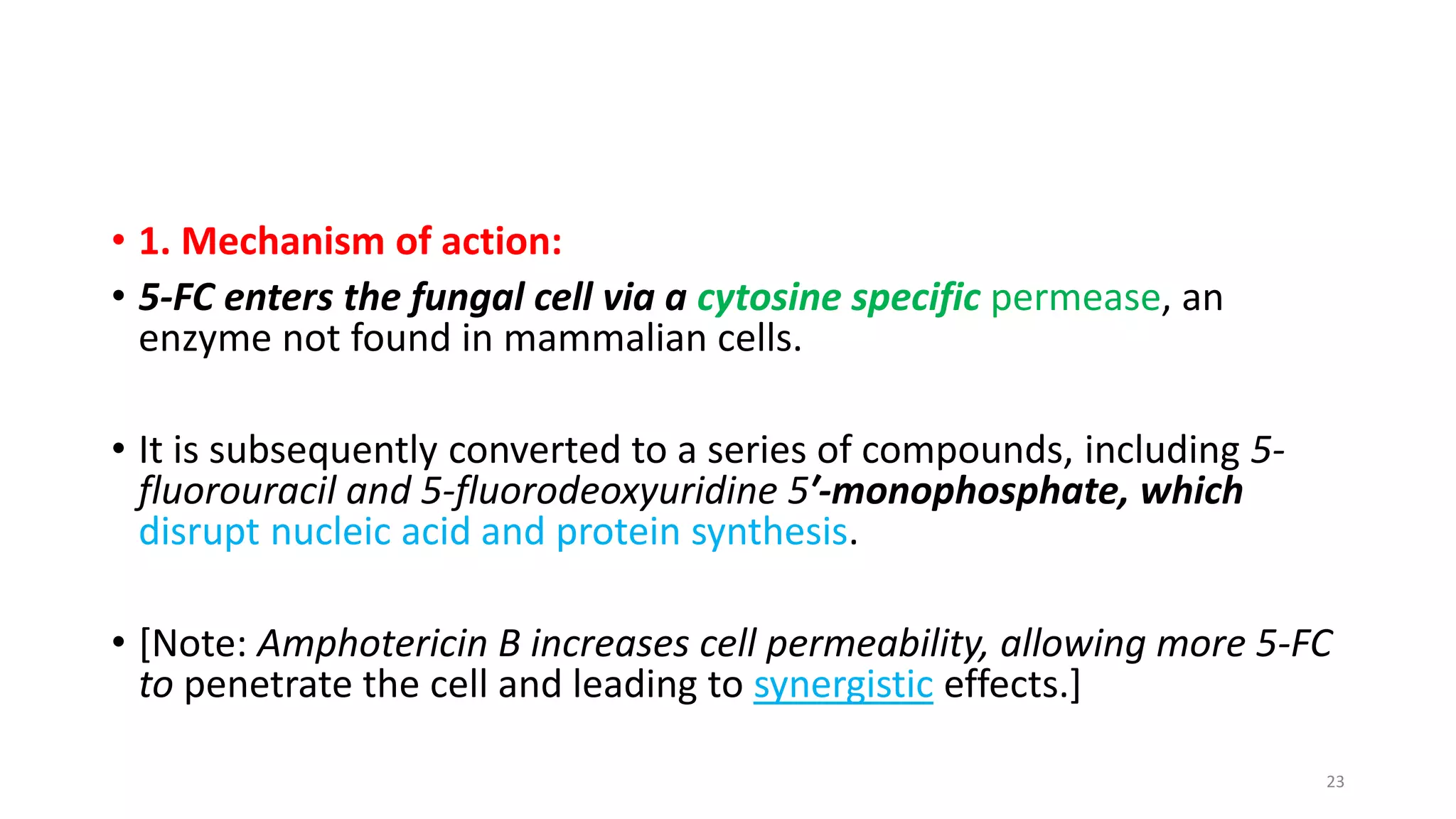 Pharmacology - Antifungals | PDF
