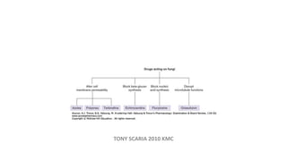 Anti fungals PHARMACOLOGY REVISION NOTES | PDF