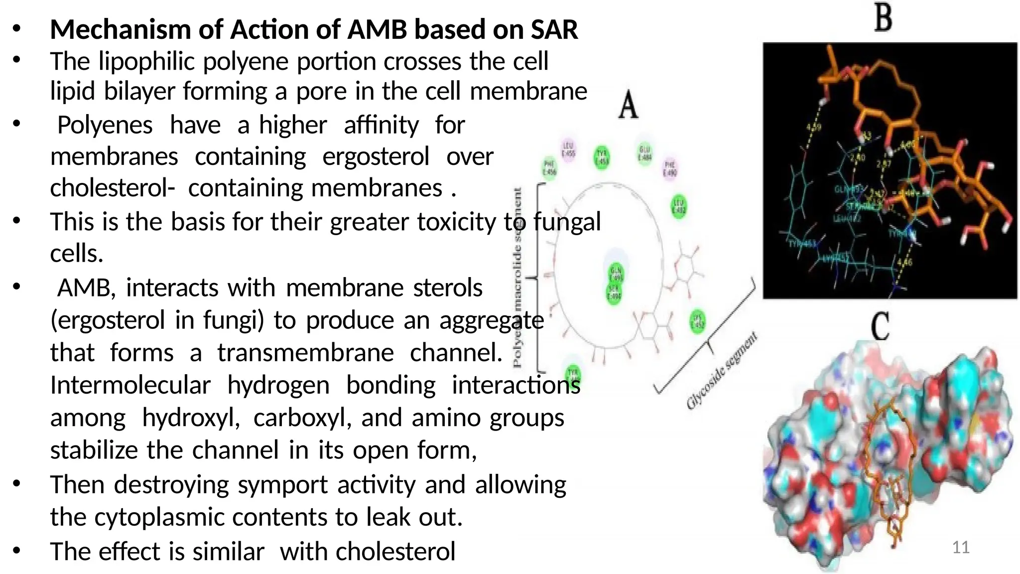 ANTIFUNGAL AGENT CLASSIFICATION AND SAR DR AMBROSE.pptx