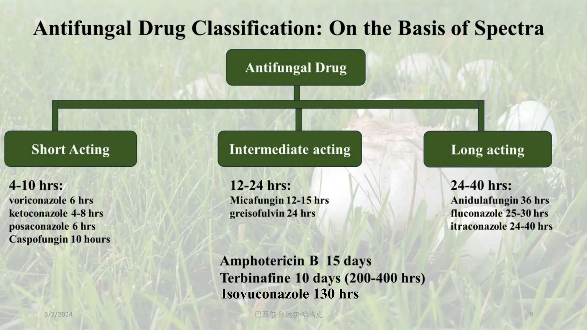 Antifungals: 5 types of classification, individual drug PK, PD and uses ...