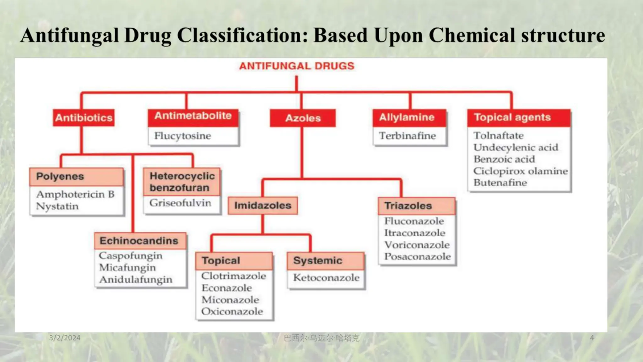 Antifungals: 5 types of classification, individual drug PK, PD and uses ...
