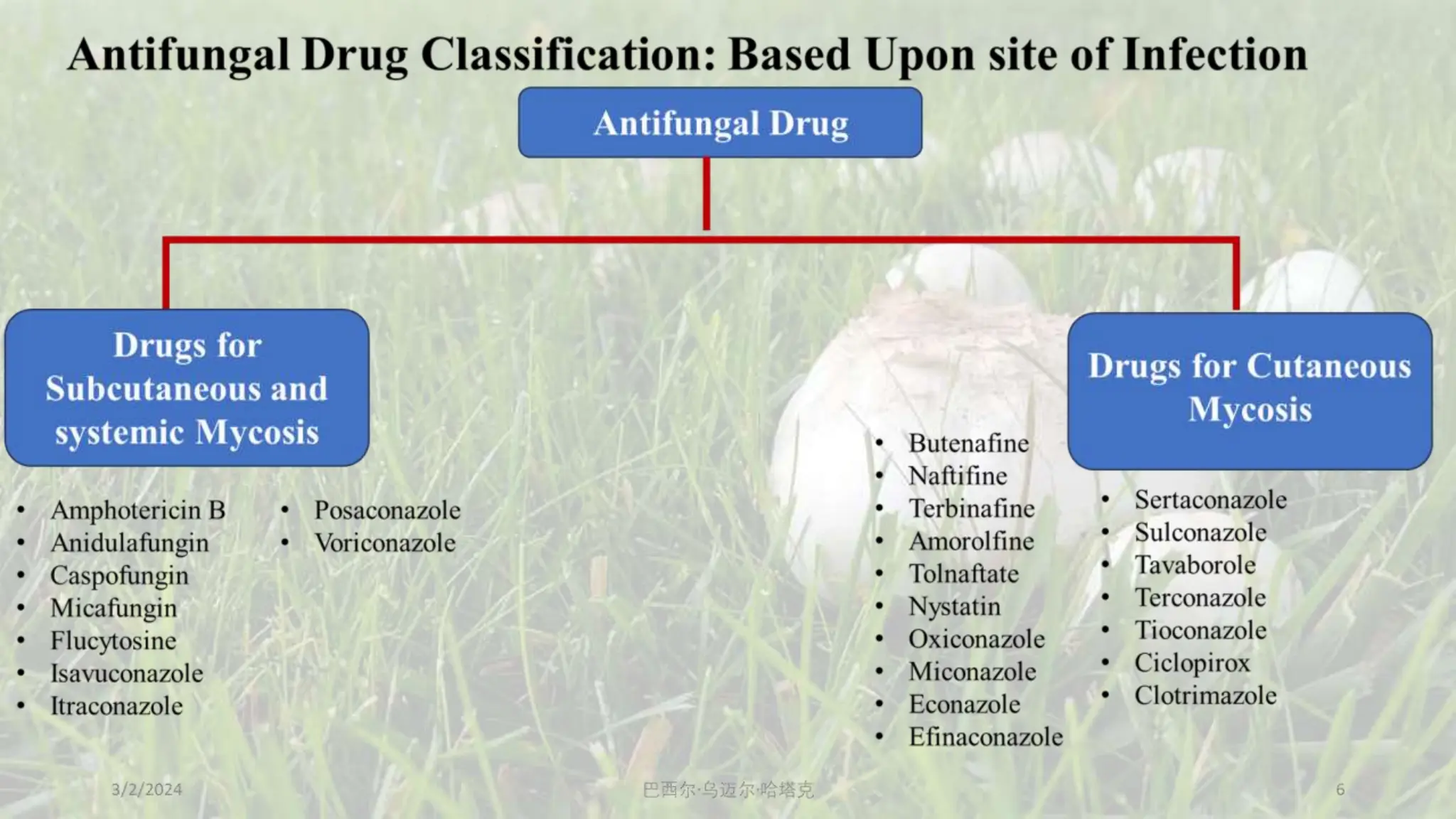 Antifungals: 5 types of classification, individual drug PK, PD and uses ...