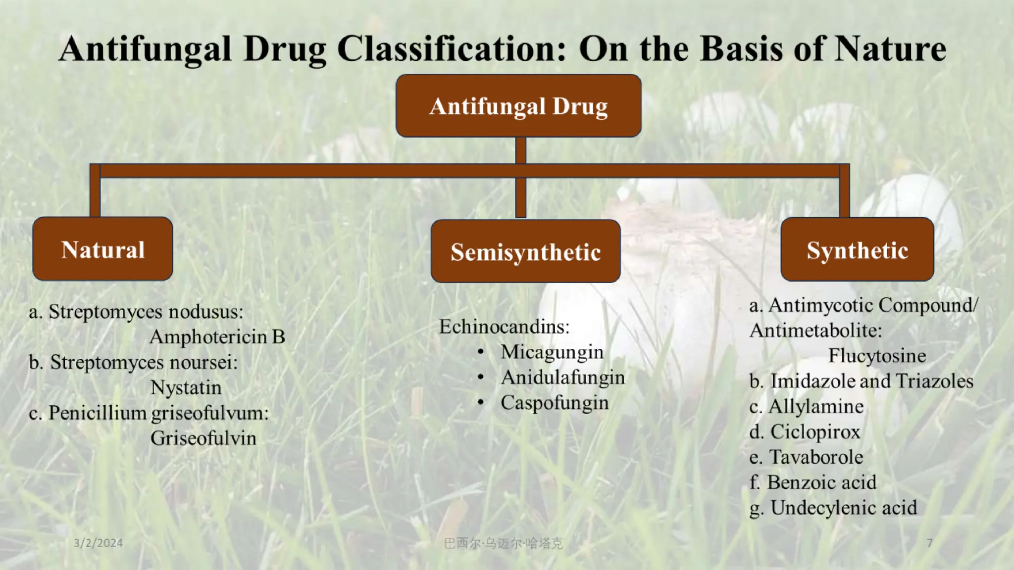 Antifungals: 5 types of classification, individual drug PK, PD and uses ...