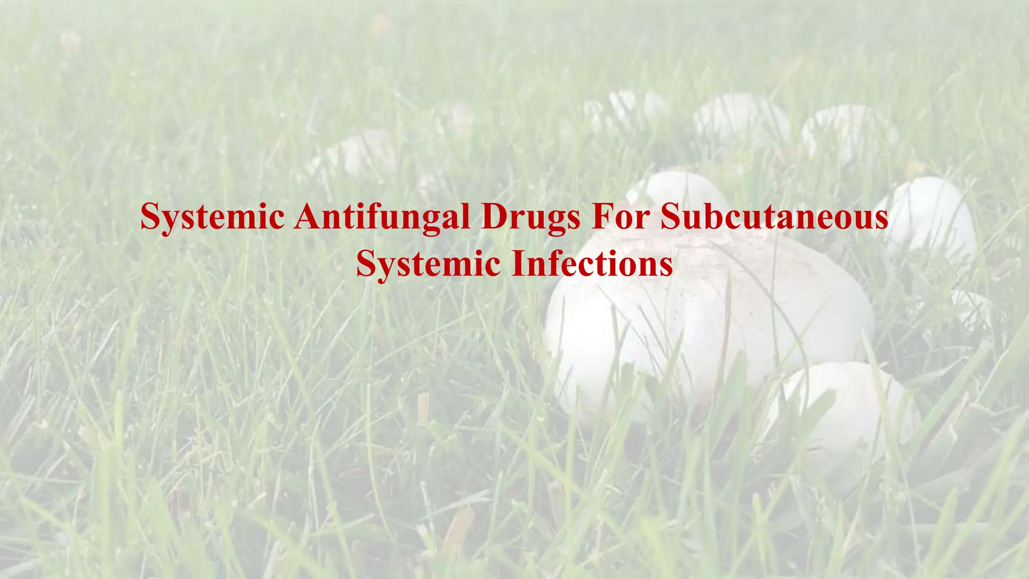 Antifungals Drugs By Baasir Umair Khatak.pptx
