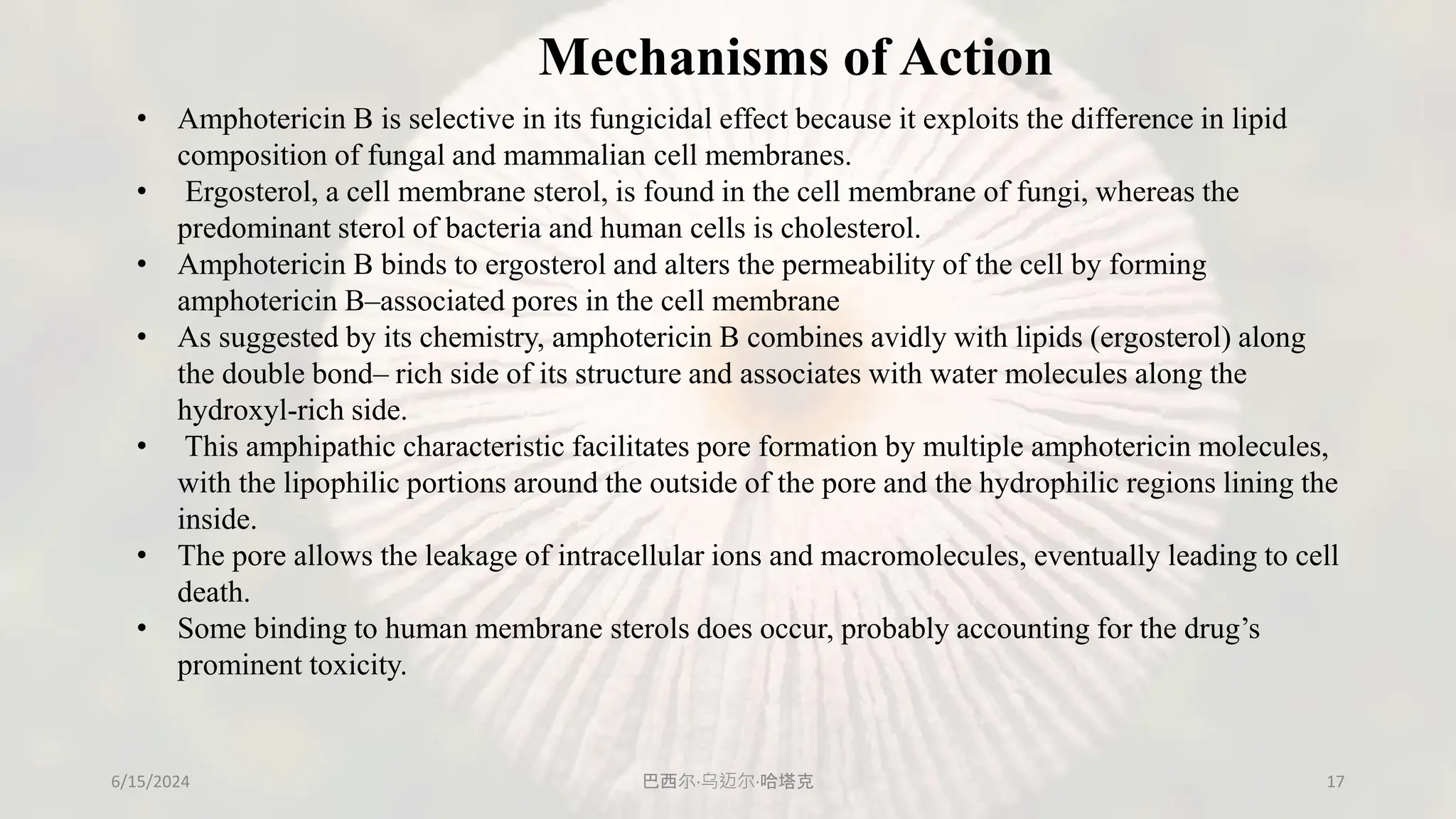 Antifungals Drugs By Baasir Umair Khatak.pptx