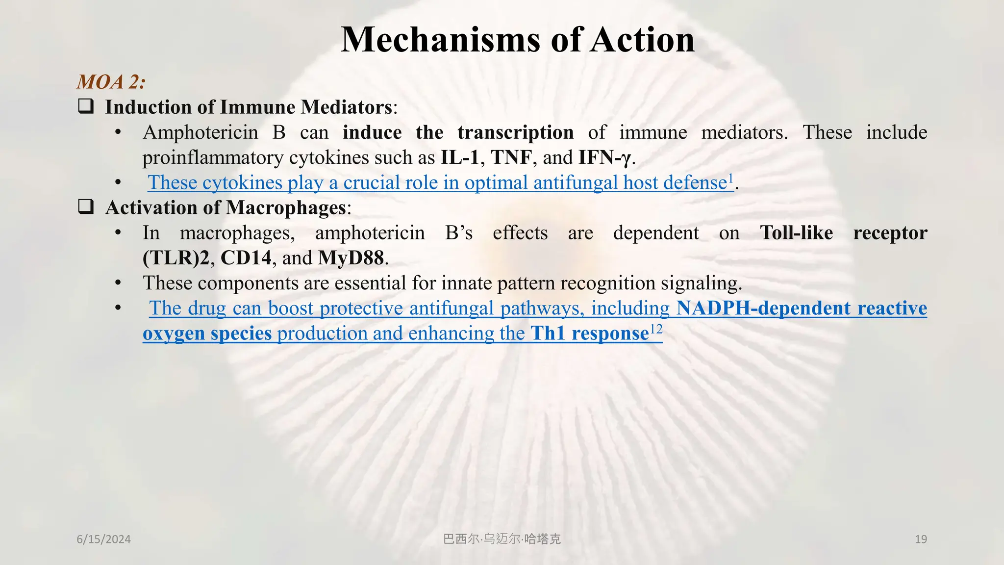 Antifungals Drugs By Baasir Umair Khatak.pptx