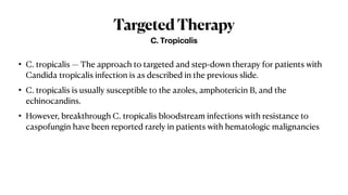 Fungal Infections in the Intensive Care Unit and Antifungals | PDF
