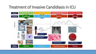 Antifungal Strategies in the Intensive Care Units | PPTX