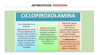 antifungicos clase 3 tania natalia olivas paz-1.pptx