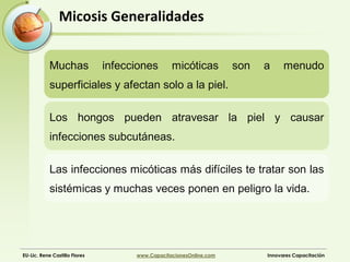 Antifungicos rené castillo ust 2007 | PDF