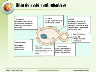 Antifungicos rené castillo ust 2007 | PDF