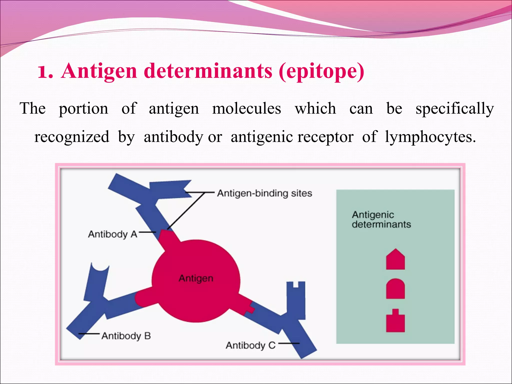 Antigen | PPT