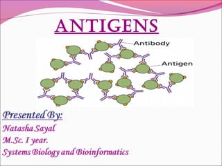 Antigen | PPT