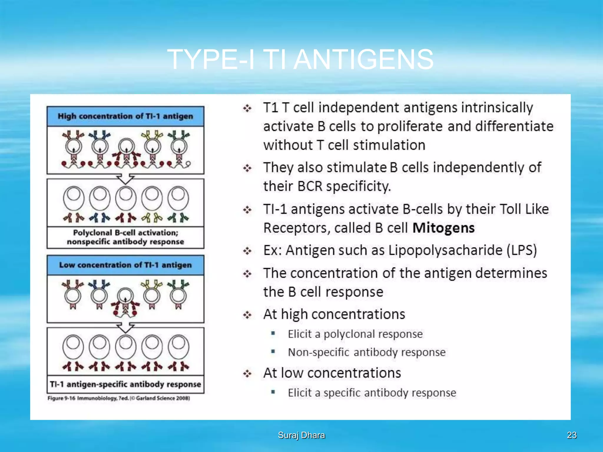ANTIGEN ( IMMUNOLOGY-1) | PPTX