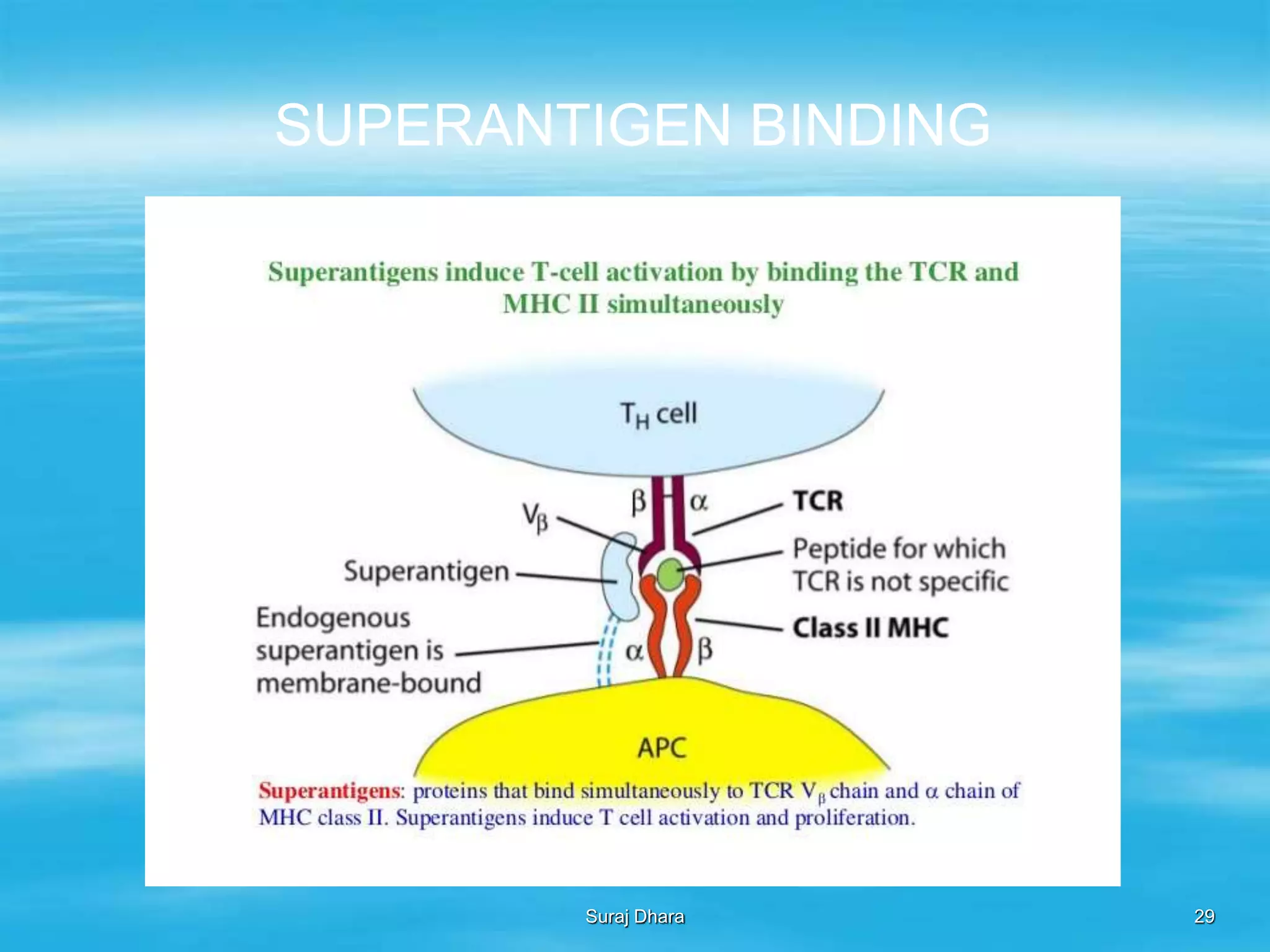 ANTIGEN ( IMMUNOLOGY-1) | PPTX