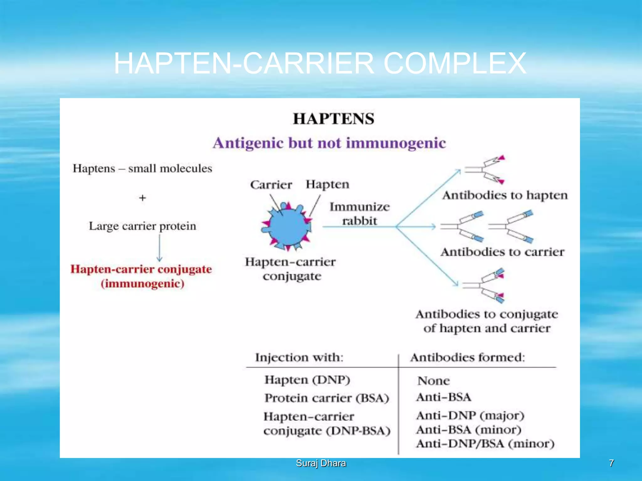 ANTIGEN ( IMMUNOLOGY-1) | PPTX