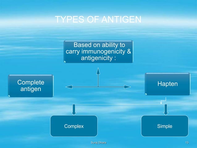 ANTIGEN ( IMMUNOLOGY-1) | PPTX | Vaccines | Medical Health
