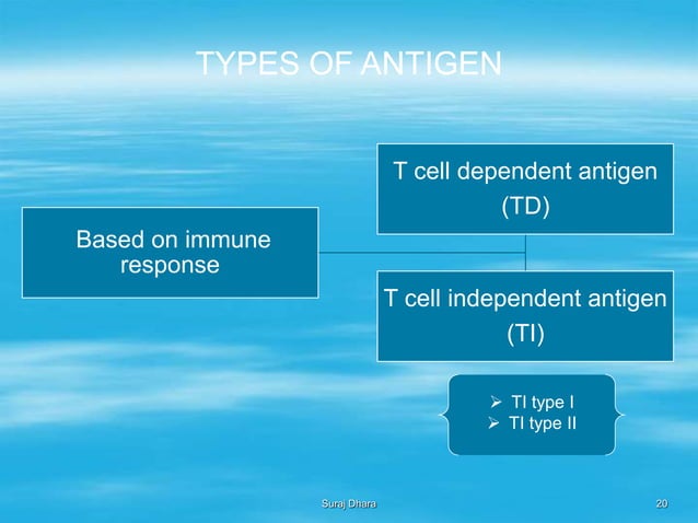 ANTIGEN ( IMMUNOLOGY-1) | PPTX | Vaccines | Medical Health
