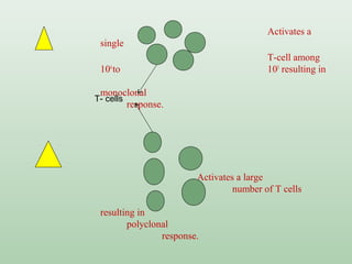 Antigen | PPT