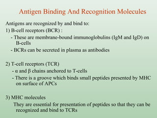 Antigen | PPT