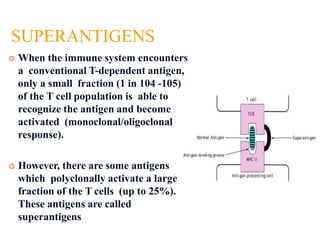 Antigen | PPTX