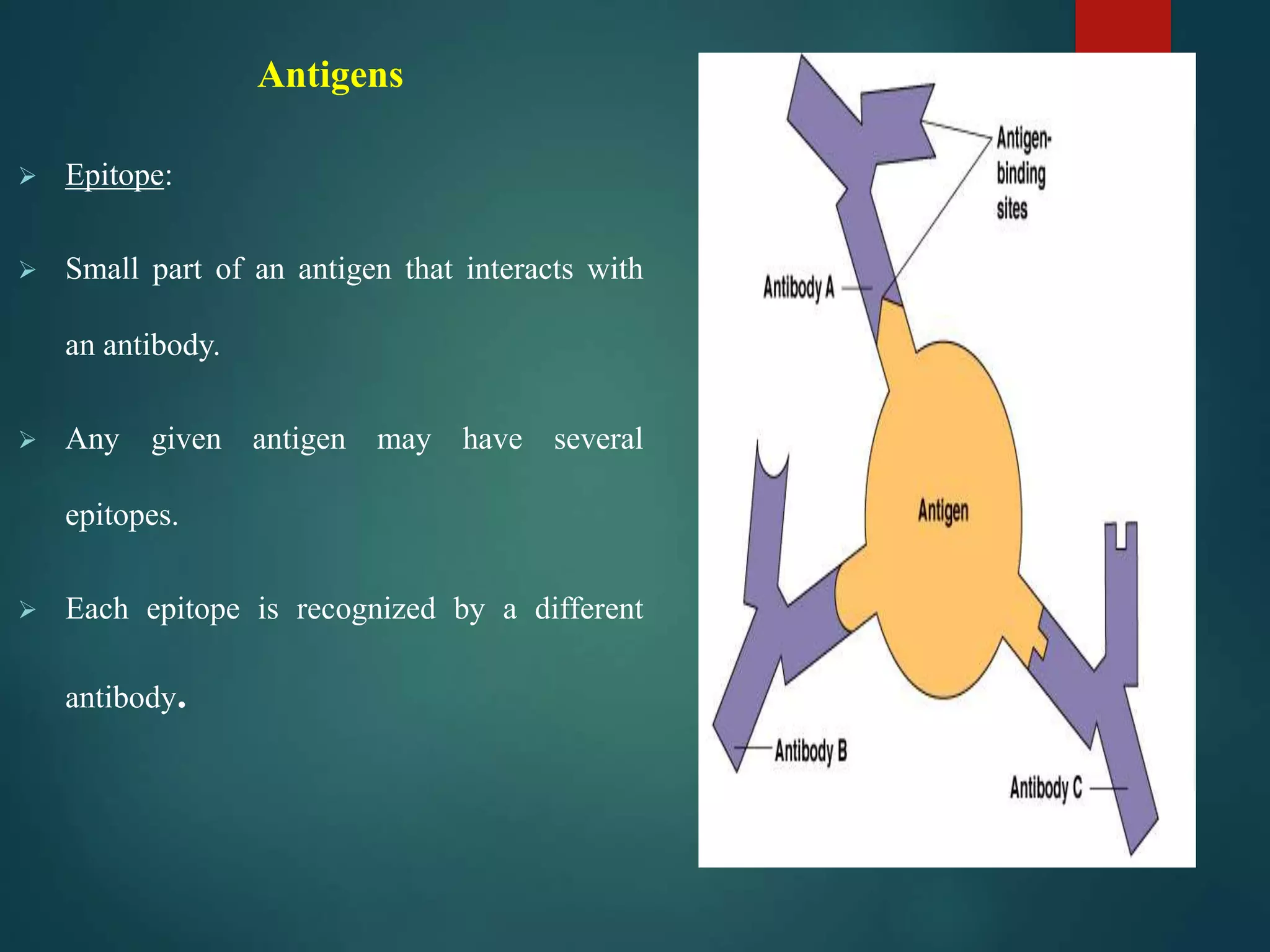 Antigen | PPT