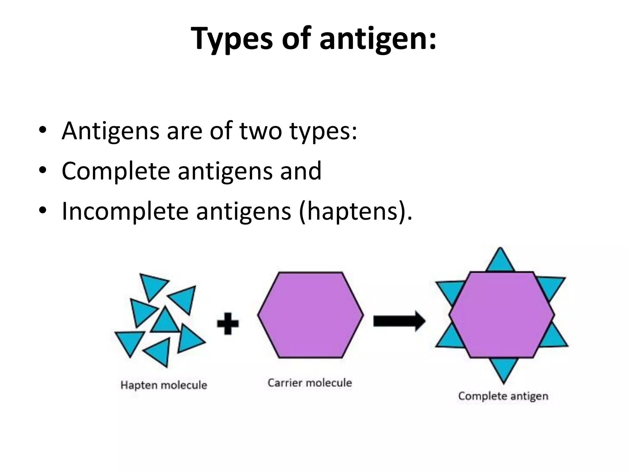 Antigen | PDF | Chemistry | Science