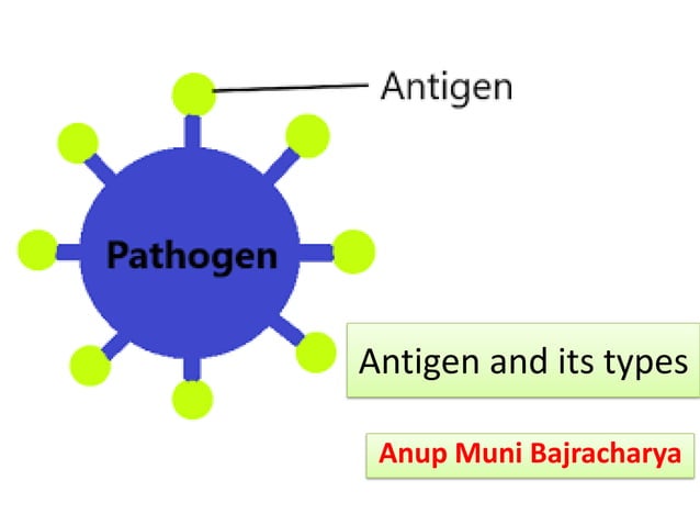 Antigen | PPT